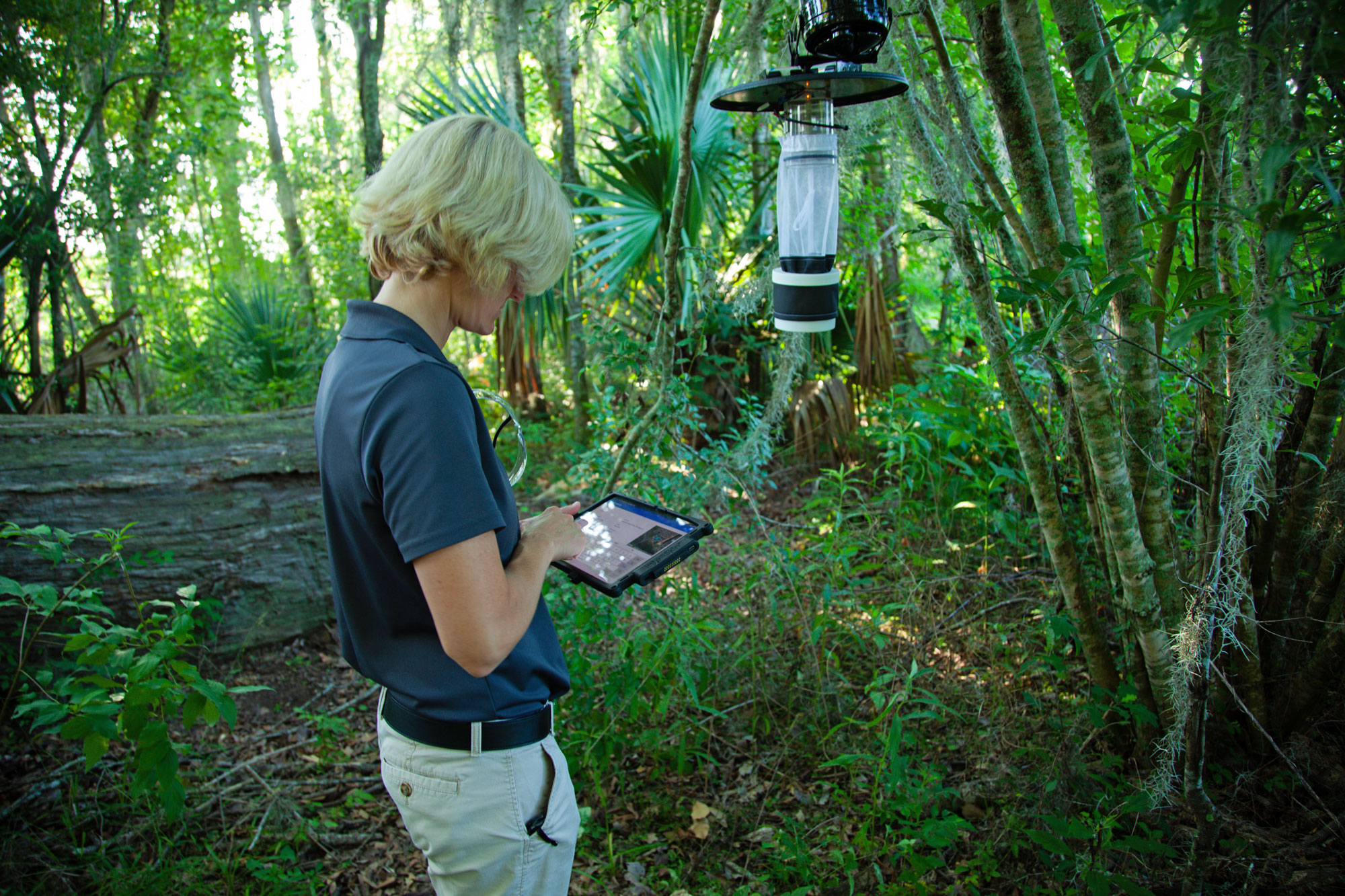 GIS and Mosquito Management