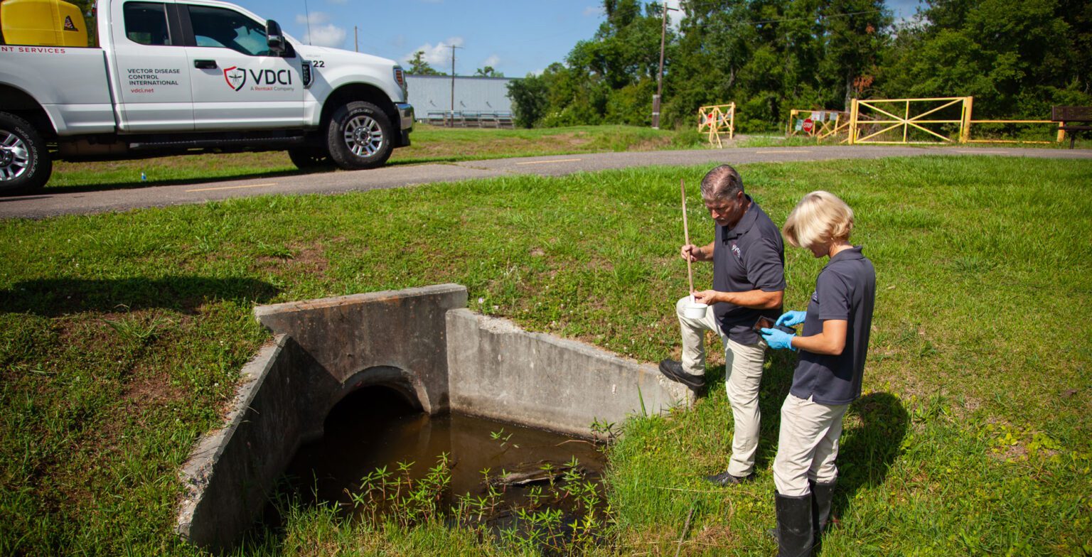 Mosquito Control Services - Why Integrated Management Matters