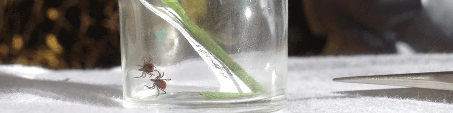 Ehrlichiosis: Education, Public Health, Integrated Tick Management