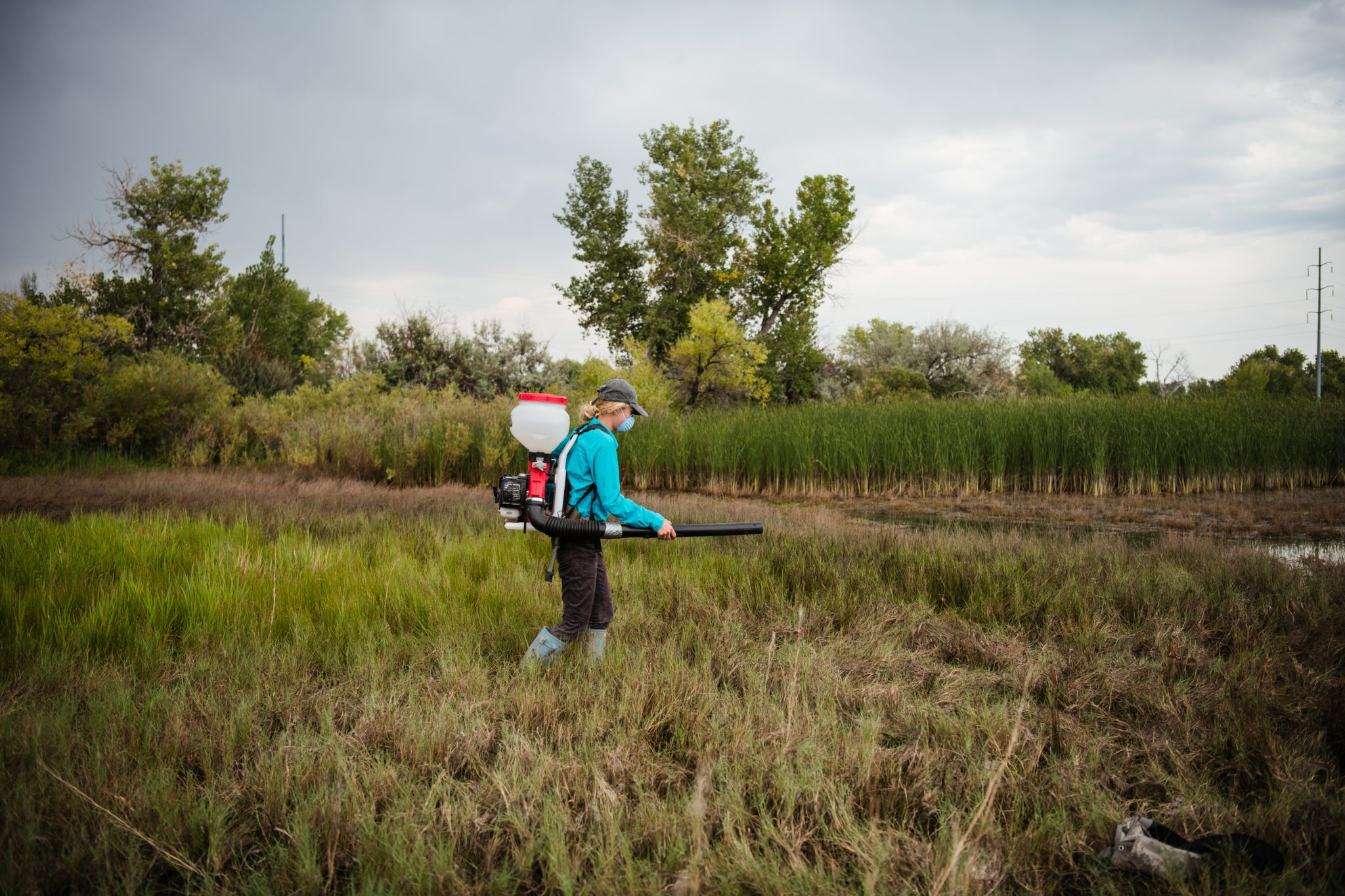 VDCI Mosquito and Tick Management Solutions, Services, and Strategies