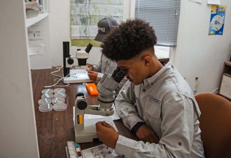 Larval Mosquito Surveillance and Control Methods - Vector Disease ...