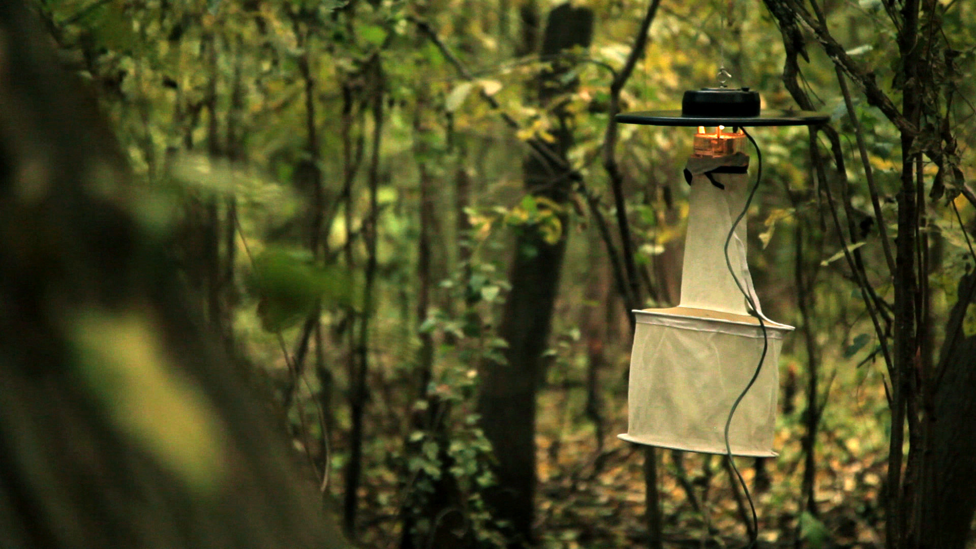 BTS: Utilizing Technology for Successful Surveillance & Disease Testing