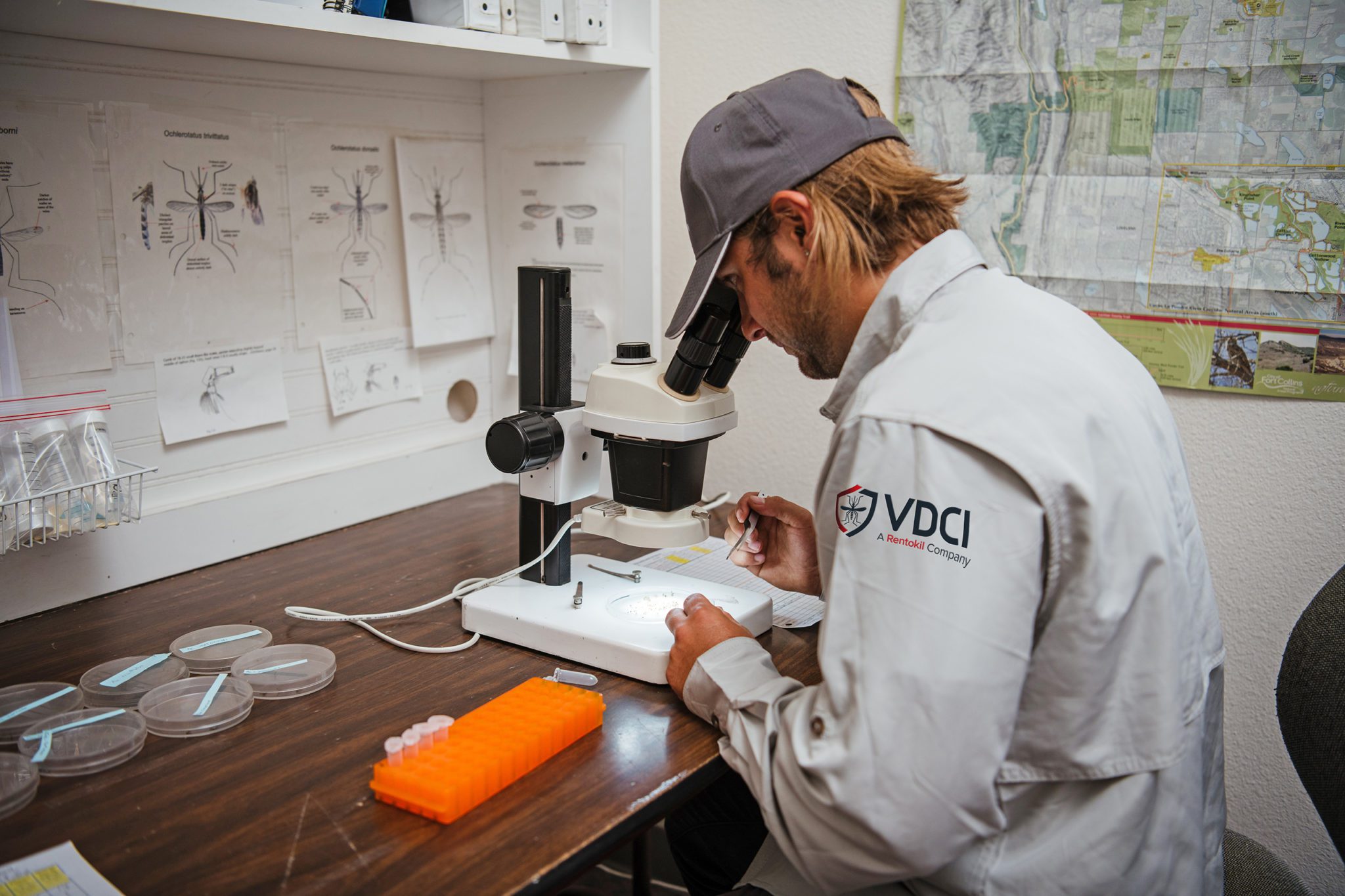 Mosquito Laboratory - A Deep Dive