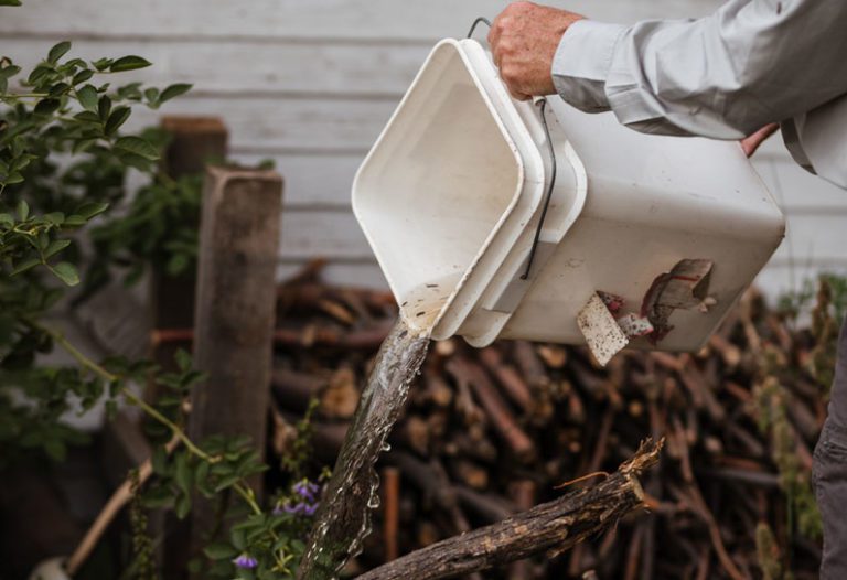 6 Key Components: Larval Mosquito Surveillance and Control