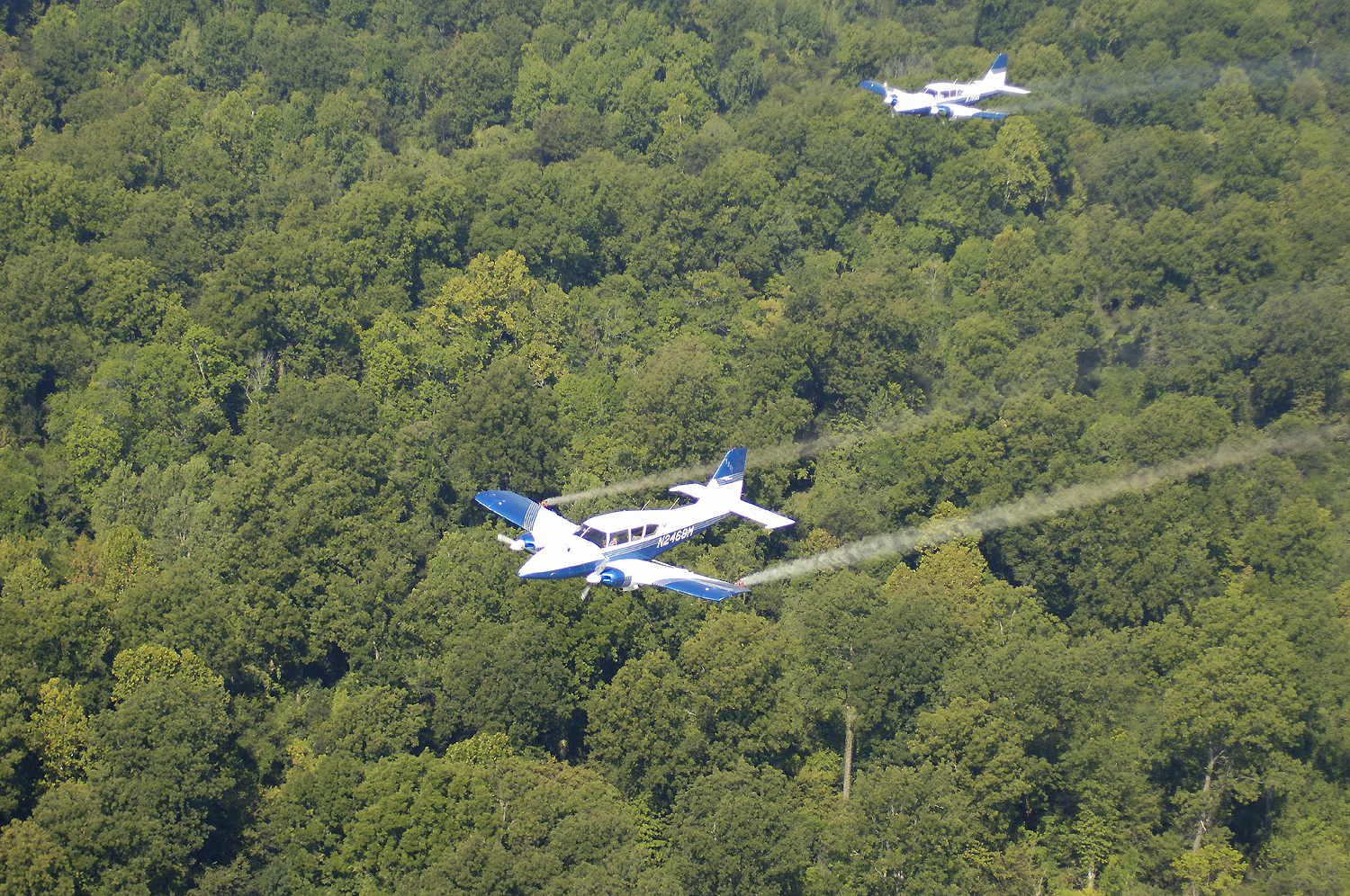 Mosquito Laboratory - A Deep Dive