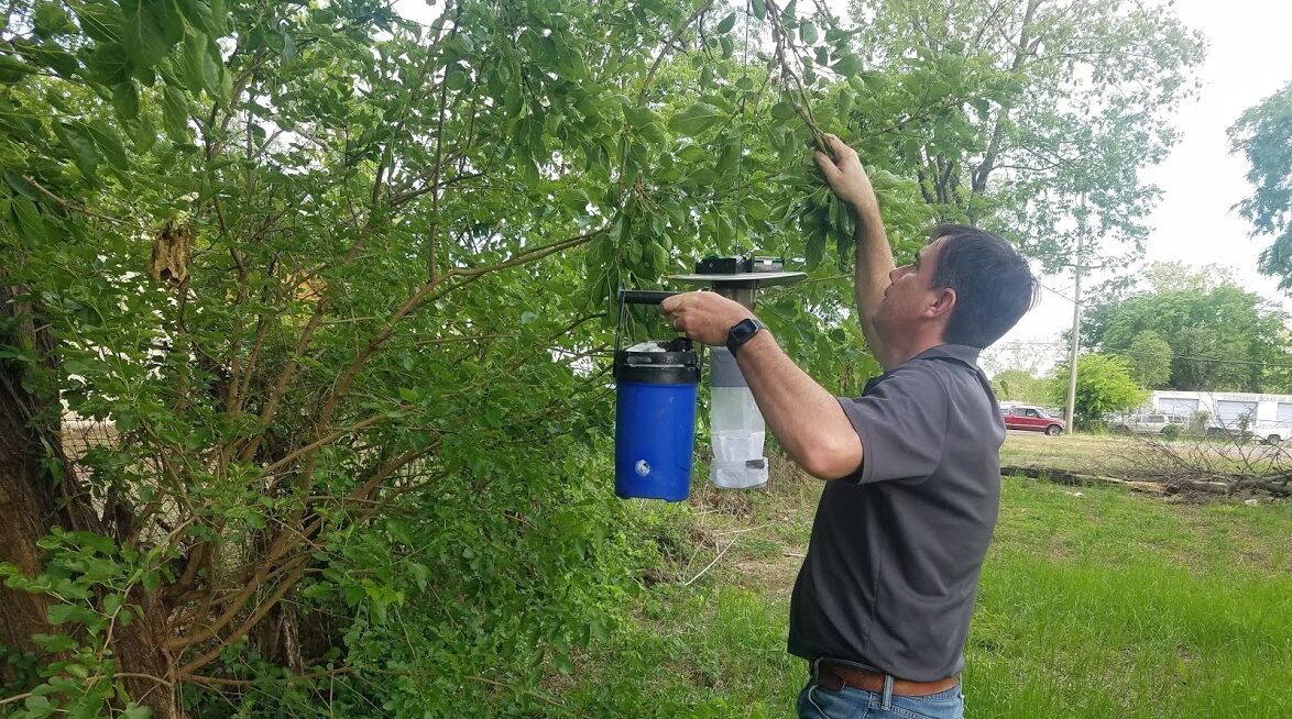 Mosquito Laboratory - A Deep Dive