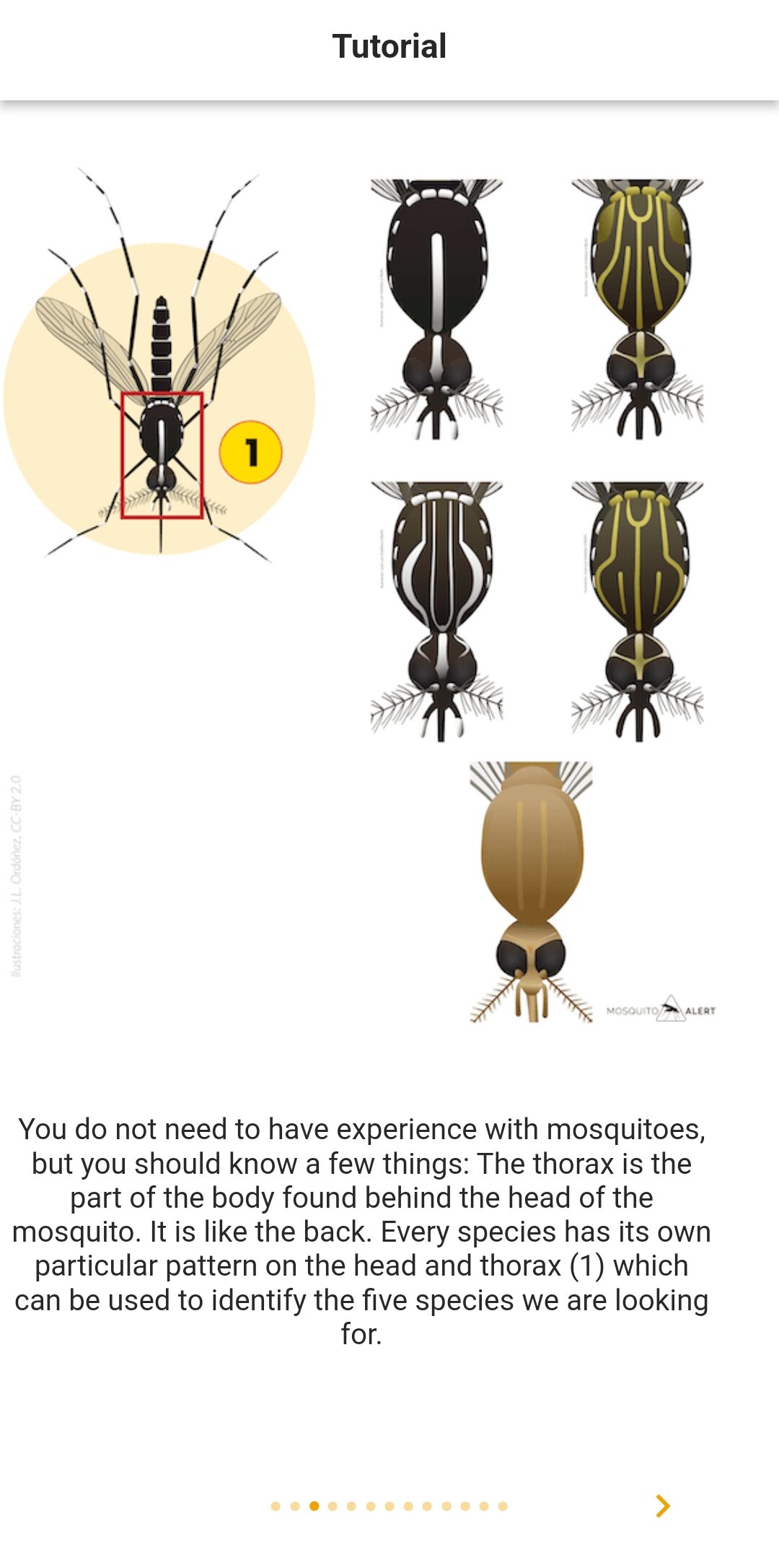 Citizen Science: Using Your Smartphone to Help Monitor Mosquito Activity