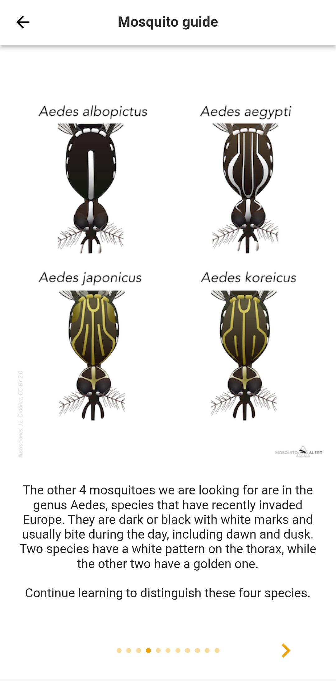 Citizen Science: Using Your Smartphone to Help Monitor Mosquito Activity