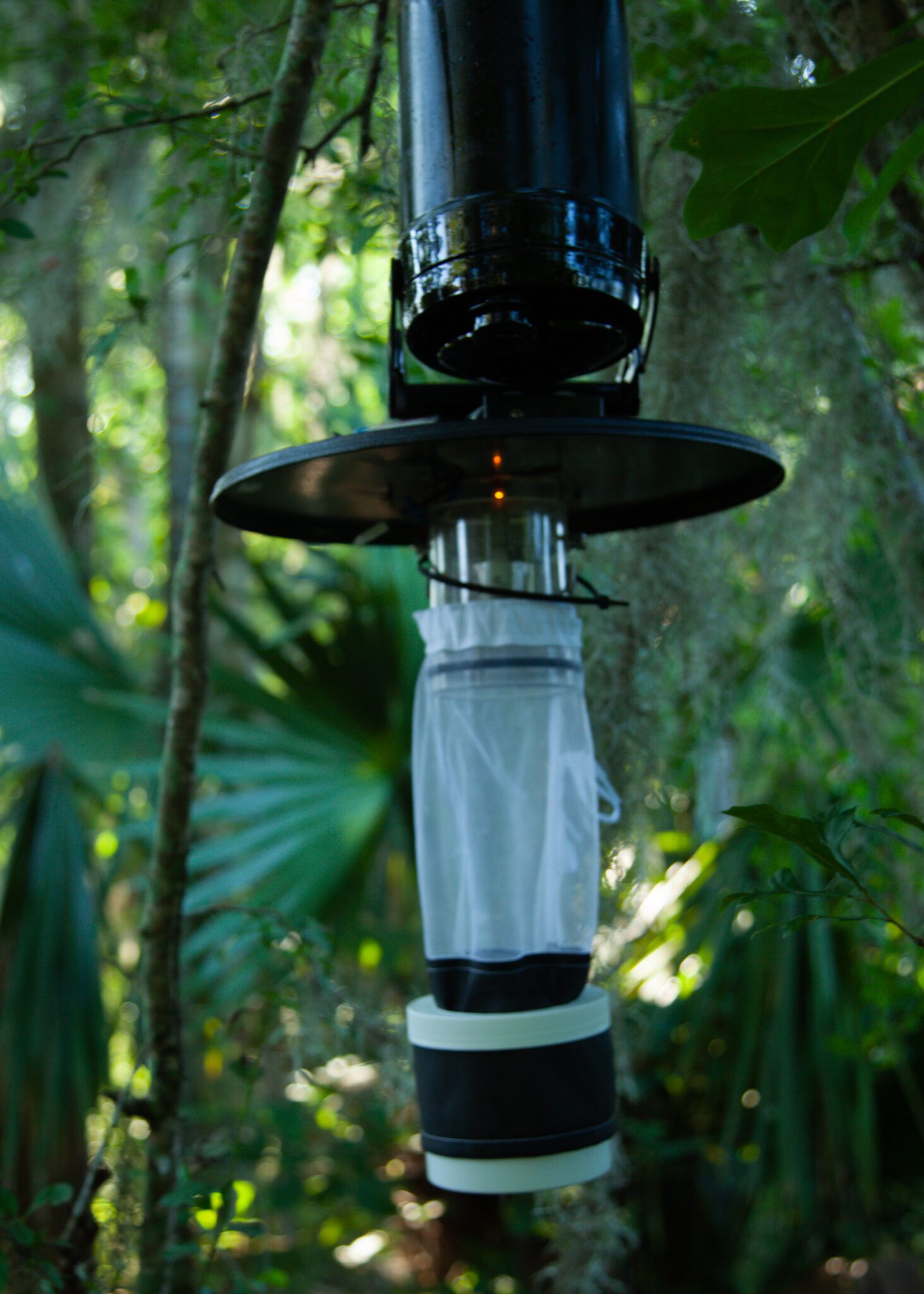 The Different Mosquito Surveillance Traps: Are They All The Same?