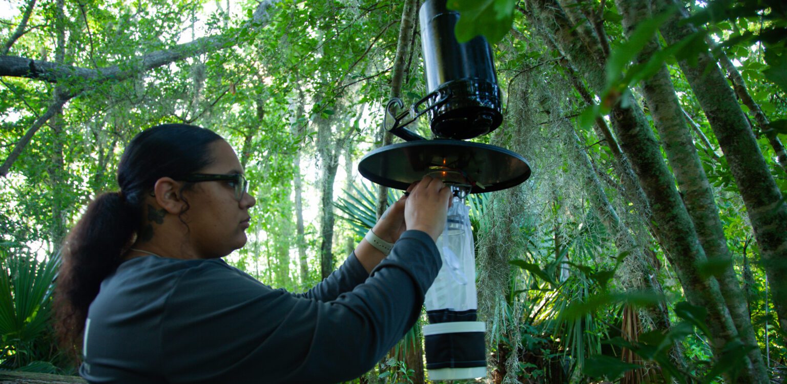 The Top 5 Mosquito Management Articles of 2023