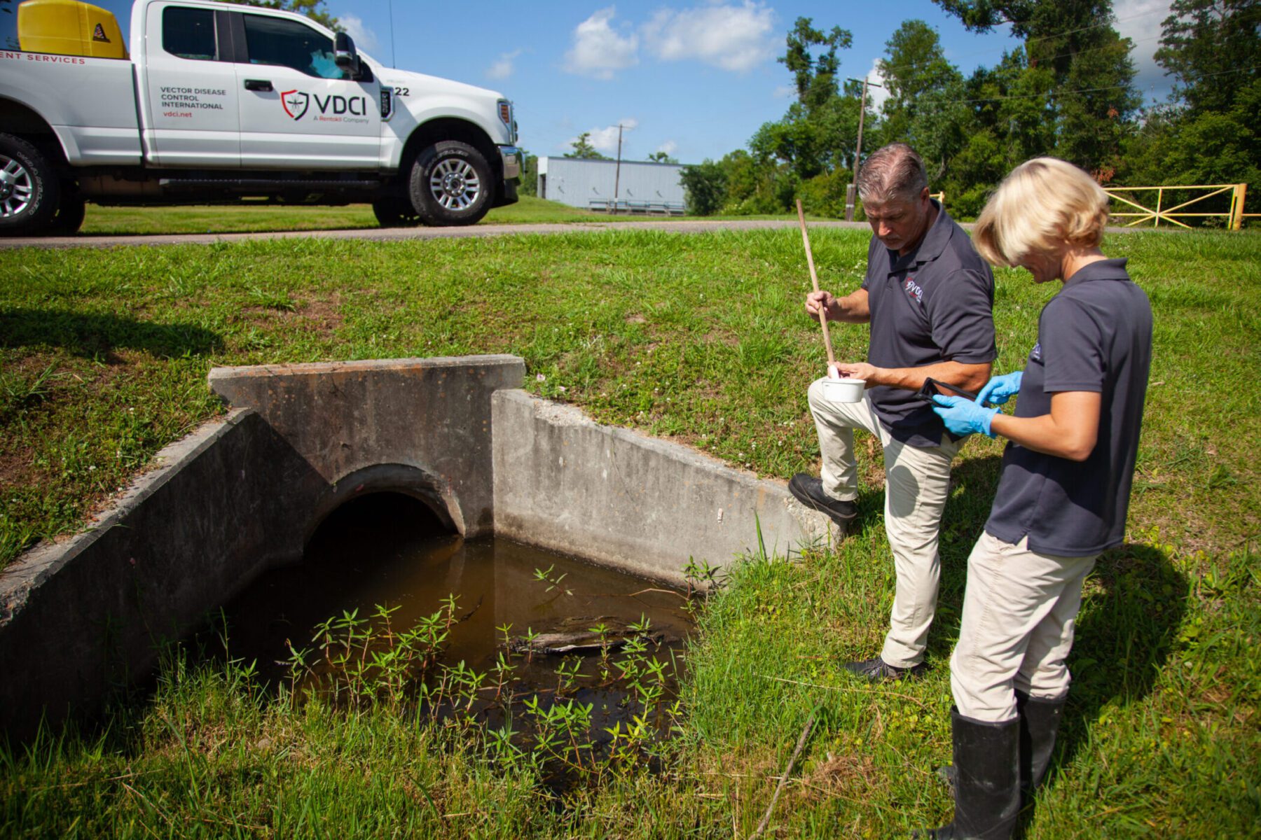 What Does a Mosquito Control Lab Technician Do?