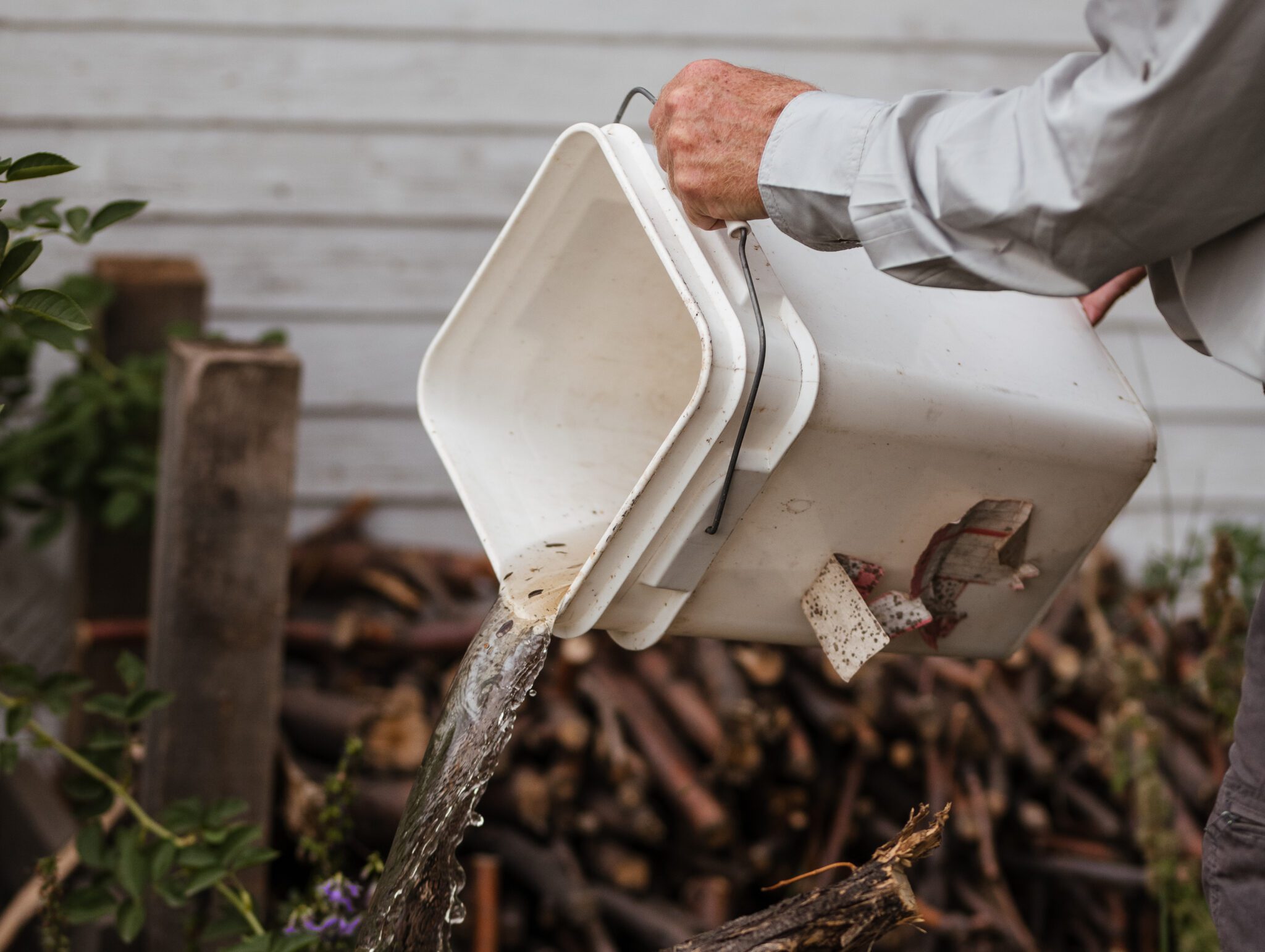 How cold is too cold for mosquitoes to survive?