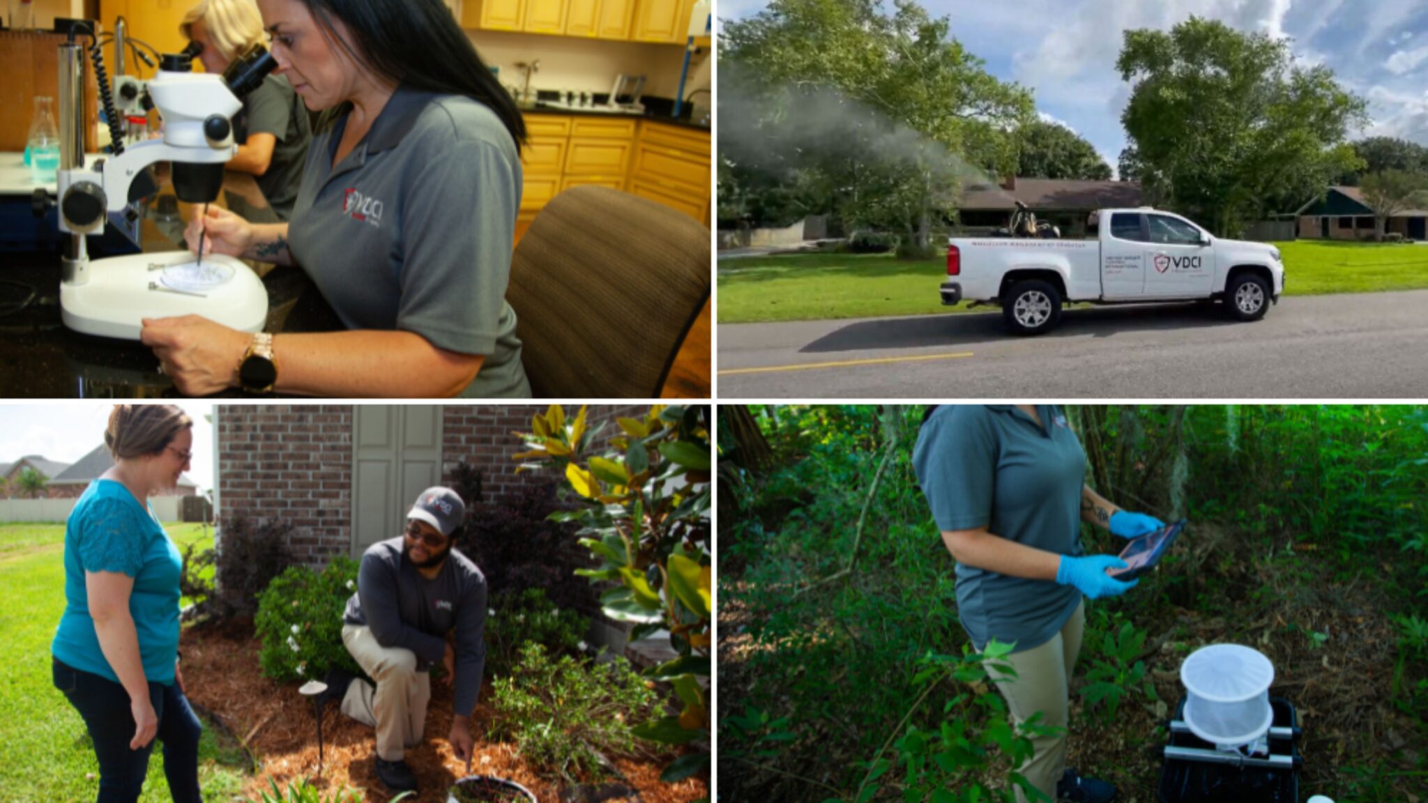 Types of Mosquito Emergency Response Planning