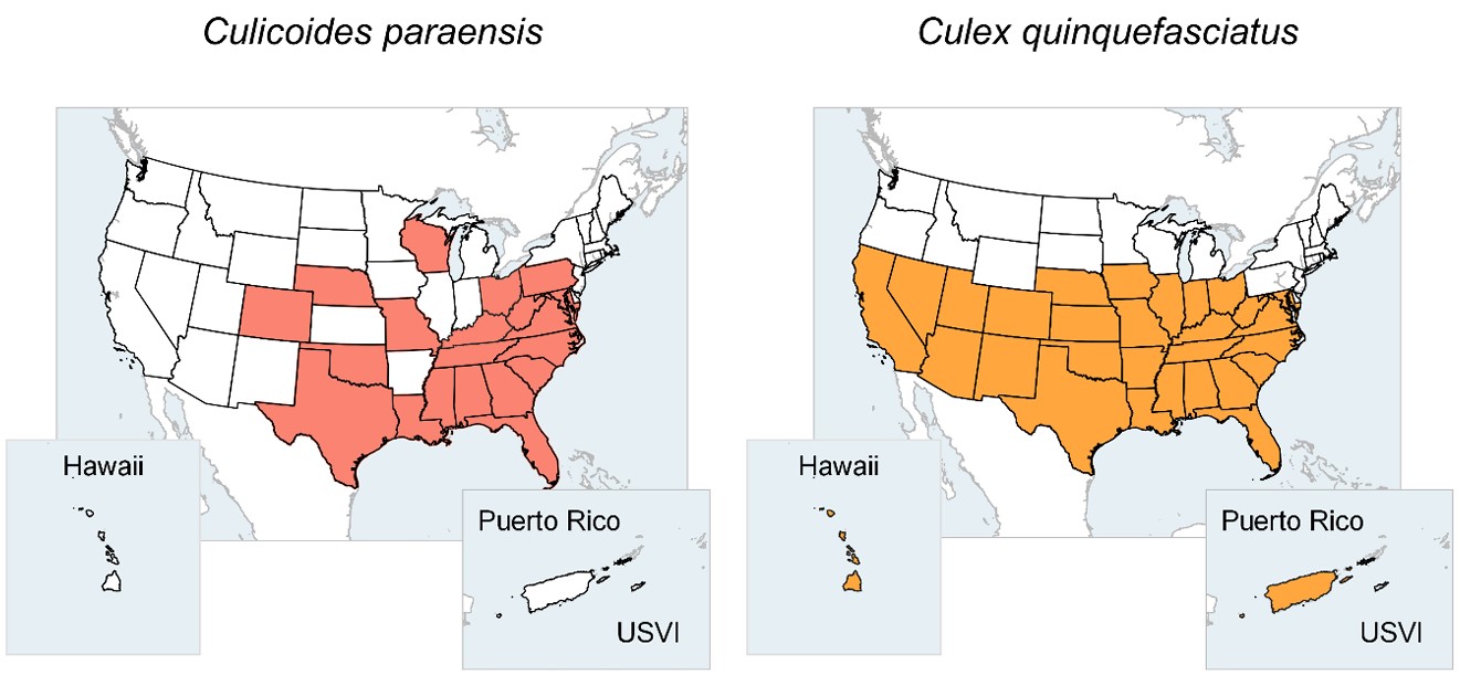 Oropouche Virus: Causes, Symptoms, and Prevention
