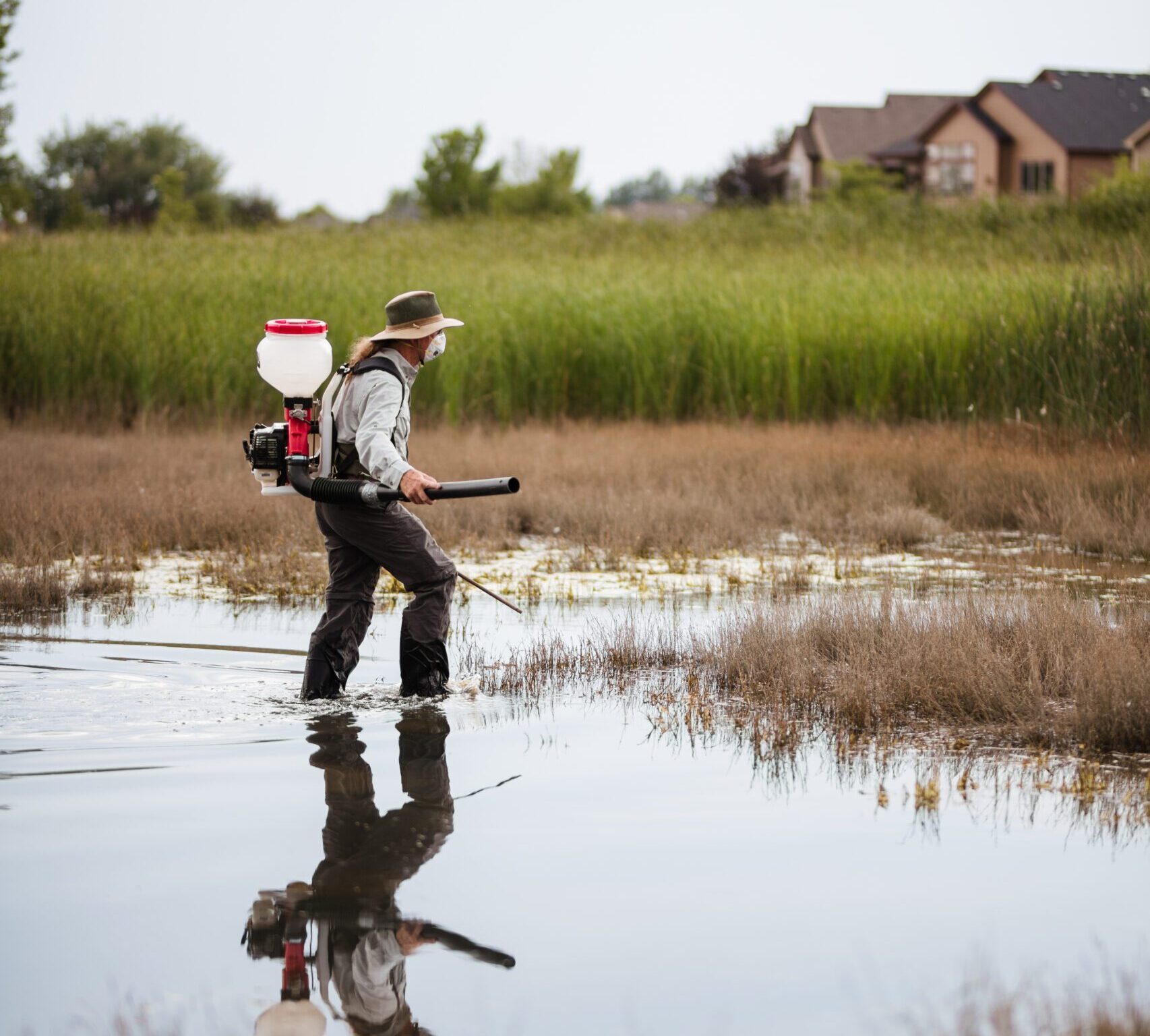 Using Mosquito Surveillance to Guide Abatement Strategies